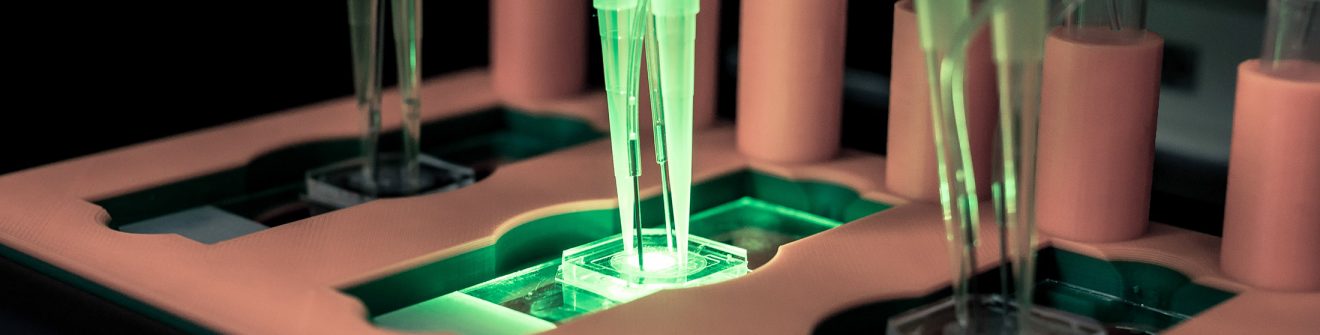 German Federal Institute for Risk Assessment (BfR), Germany - EUROoC